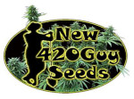 Blue Haze Auto (par New420Guy Seeds) :: Info de Variété :: SeedFinder.eu