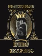 Halle Berry x Lemon Roze (Blockhead Buds) :: Cannabis Strain Info ...