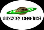 Griff's OG (Odyssey Genetics) :: Cannabis Strain Info :: SeedFinder.eu