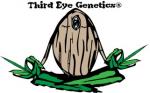 Sorcerer (Third Eye Genetics) :: Cannabis Strain Info :: SeedFinder.eu
